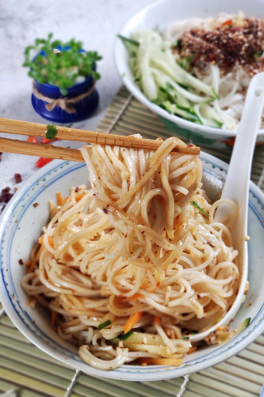 Cold Noodles with Rich Taste - My Lovely Recipes